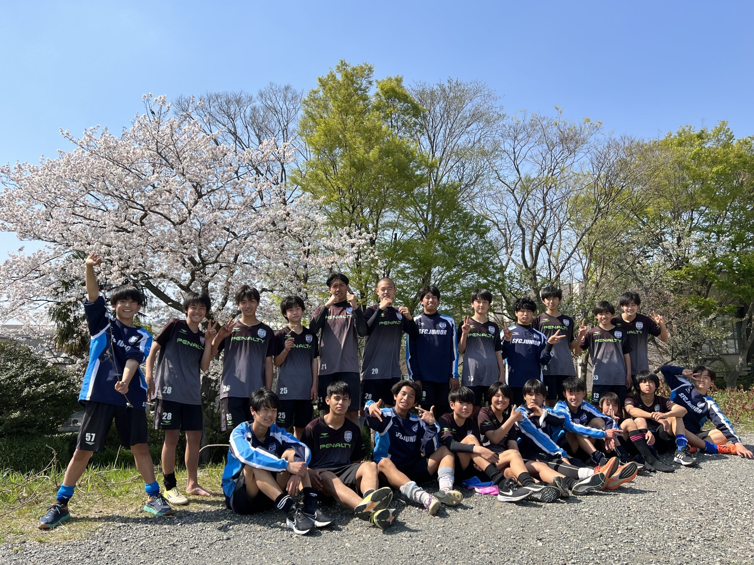 ジュニアユース（3種） | SFC.JUNIOR